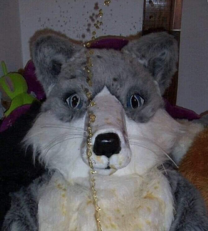 Kenneth Poland / FoxWolfie Galen / ScatCoon | Kiwi Farms