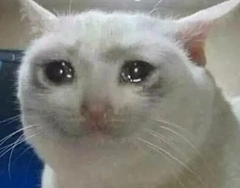 Lord Frogmire Appreciation Thread - The Better Brother (Formerly Known ...