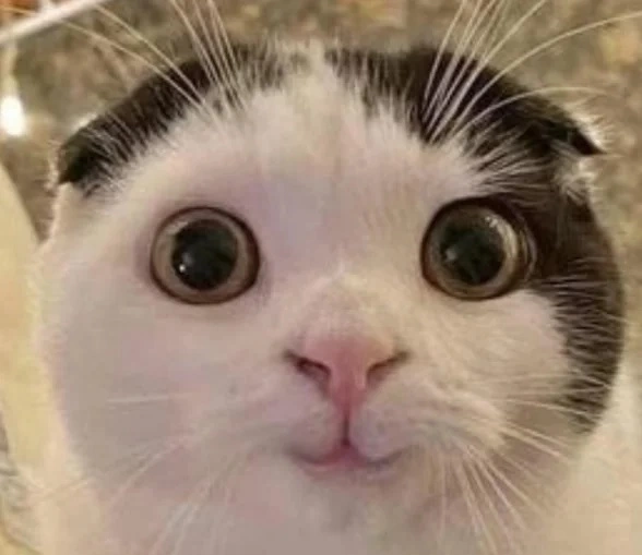 Lord Frogmire Appreciation Thread - The Better Brother (Formerly Known ...