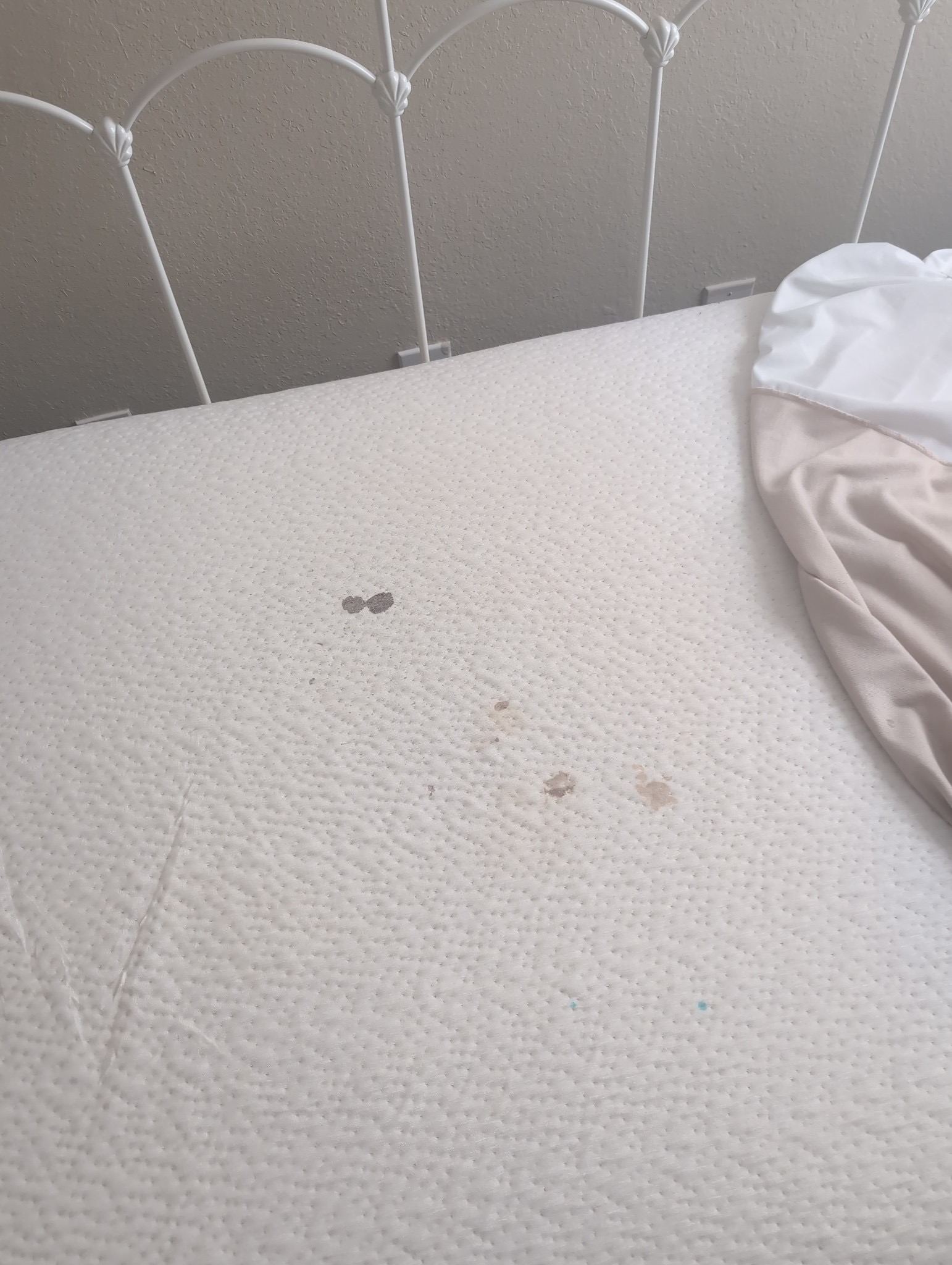 Sophia Harrington / Jack Harrington / Birdie / SpriteCranbirdie / Alias ...