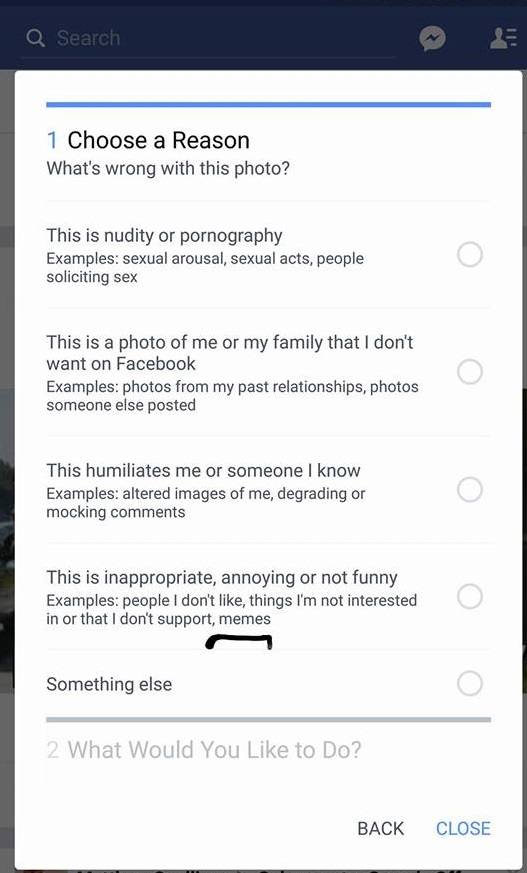 memes are now in violation of facebook policies | Kiwi Farms