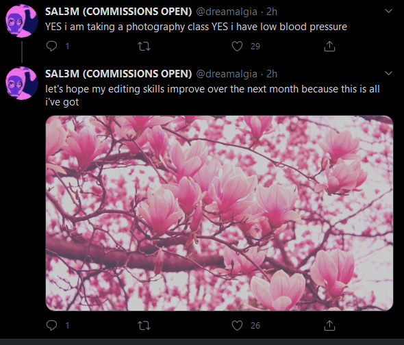 Dollieguts / Tearzah Hayes / Salem Haze / Dreamalgia / Dollieguts ...