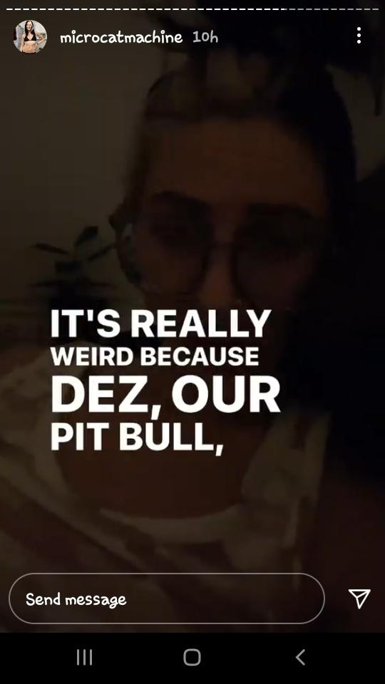 Allison Vivian Tennyson / Allison Tennyson / microcatmachine / The ...