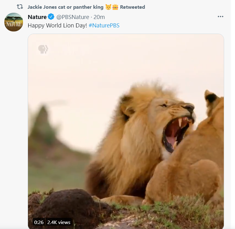 Jackie Lee Jones / JackieJones2261 / catloverjackie | Page 7 | Kiwi Farms