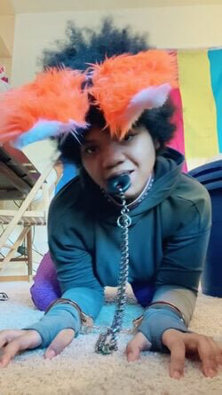 Kittydog / kittydog69 / kittydogcrystal / Zola Williams | Kiwi Farms