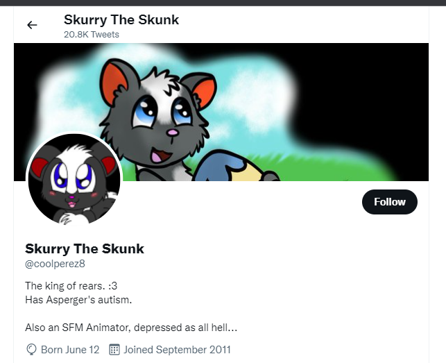 Coolperez8 / SkurryTheSkunk / Megadoomable / skurry-pokebooties ...