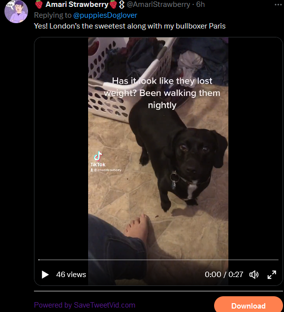 Amanda/Amari Turcol / LadyALT69 / Manda-Tee / Amarithenonbinary ...