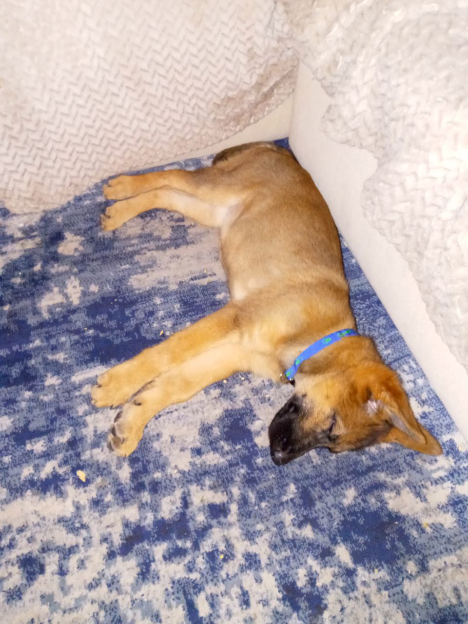 Valerie / Connor Roundy / Hypnotist Sappho / Succubus Sappho / Vin R ...