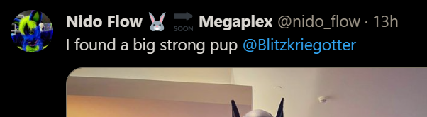 Jake Skuzinski / Odin Wolf / Nido Flow | Page 4 | Kiwi Farms