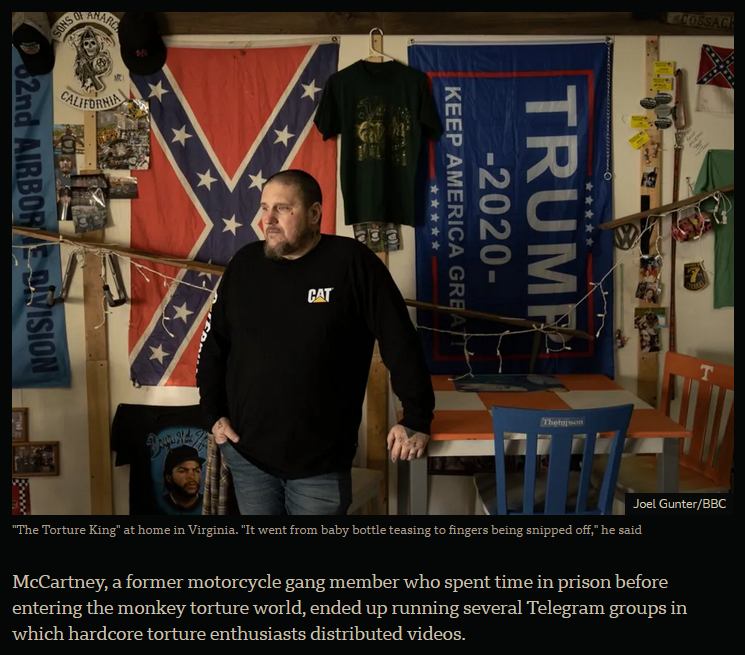 Million Pity / Baby Monkey Hate / 0chan.life / Million Tears ...