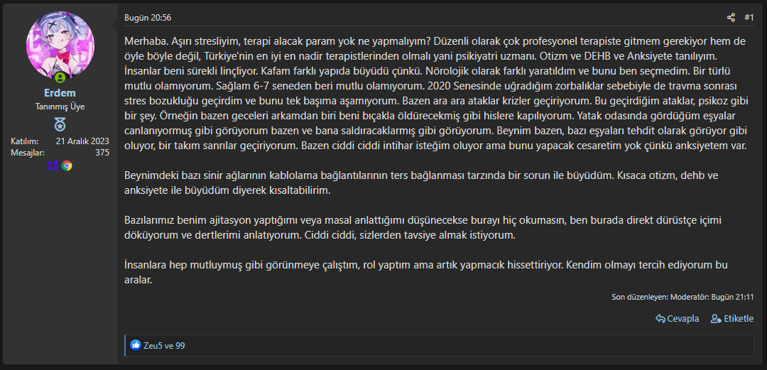 Erdem Alsırt / Turkish Brony Gamer / Turkish Chris-Chan | Page 149 | Kiwi Farms