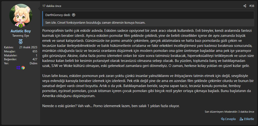 Erdem Alsırt / Turkish Brony Gamer / Turkish Chris-Chan | Page 157 | Kiwi Farms