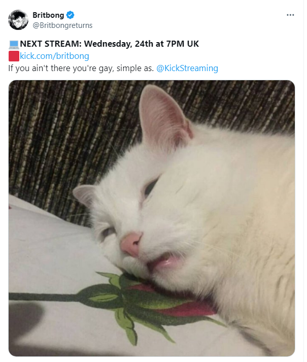 Dominic Vanner / Britbong / Britbongreturns / MRBTFO / Manlytears ...