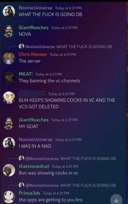 Gabriel Michael-Lee Scrivener Gage / Gabriel Gage / Nova Online / heyah ...