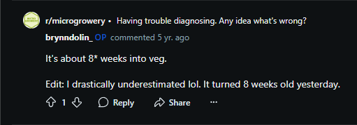 Brandon Lee Kellett / Brynn Lee Kellett / Brynn Woods / Valkyrie ...