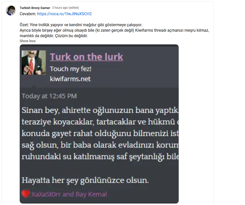 Erdem Alsırt / Turkish Brony Gamer / Turkish Chris-Chan | Page 175 | Kiwi Farms