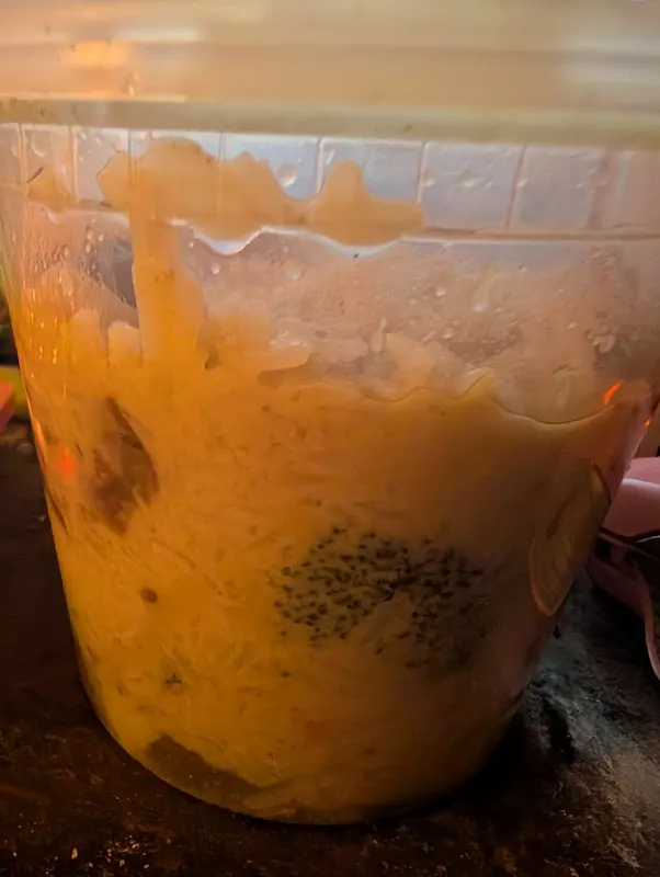 ShannyForChrist / Shannon Eileen McGraw/Dornbush/Gattis & Jason William ...