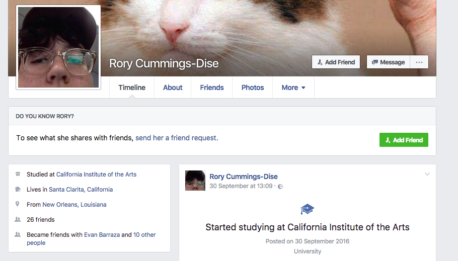 rcdart / Rory Cummings-Dise | Page 2 | Kiwi Farms