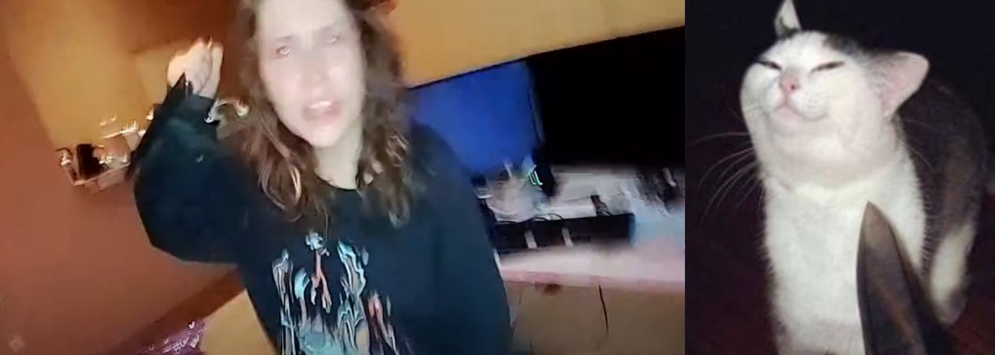 Holland Proudfoot / Alice's Room / hollietron / @transmikitaka ...