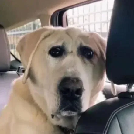 Last Image You Saved | Page 999 | Kiwi Farms