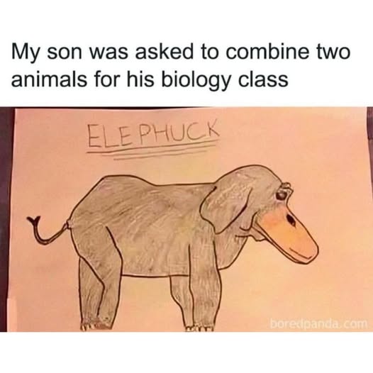 Random Pics, Gifs, and Vids | Page 6117 | Kiwi Farms