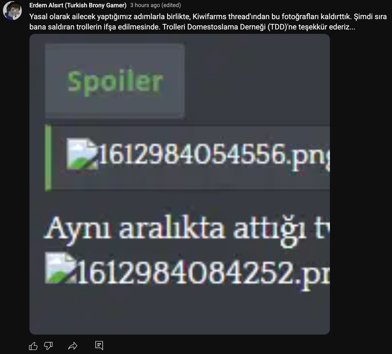 Erdem Alsırt / Turkish Brony Gamer / Turkish Chris-Chan | Page 202 | Kiwi Farms