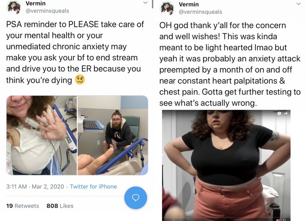 Vaush / @VaushV / VaushVidya / IrishLaddie / Ian Anthony Kochinski ...