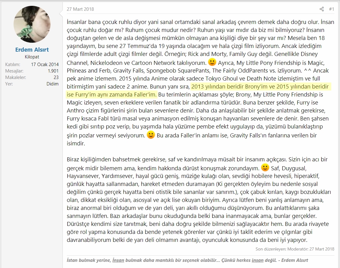 Erdem Alsırt / Turkish Brony Gamer / Turkish Chris-Chan | Page 14 | Kiwi Farms