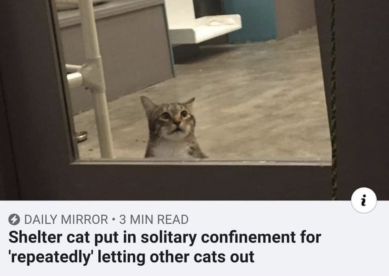 Pictures on the Internet that have made you laugh hysterically | Page ...