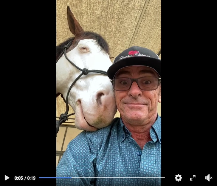 🐴 Amanda Lynn Morris (née Amanda Morris) / "May" / Pantsu Party / sadNtrad / "Clout Horse ...