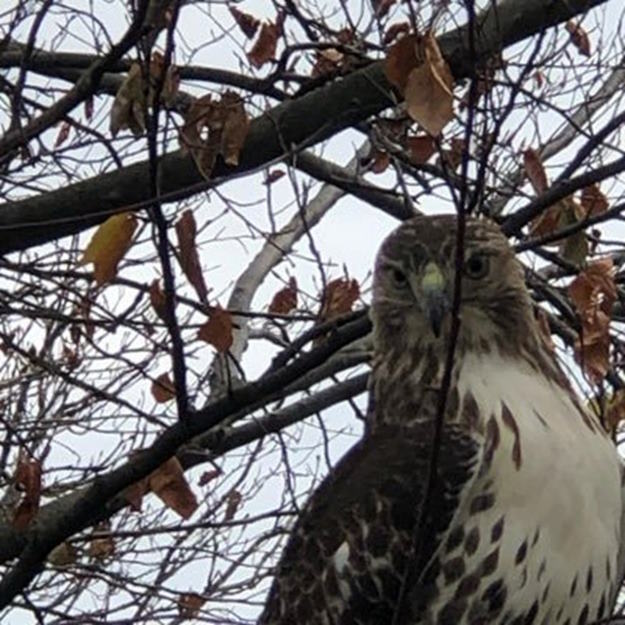 Louis "Lou" Gagliardi / Ash Franzetti / Alex 'Ace' Maddox / Tegan ...