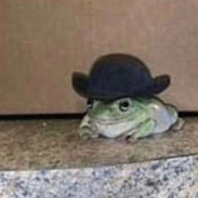 Pictures of frogs | Kiwi Farms