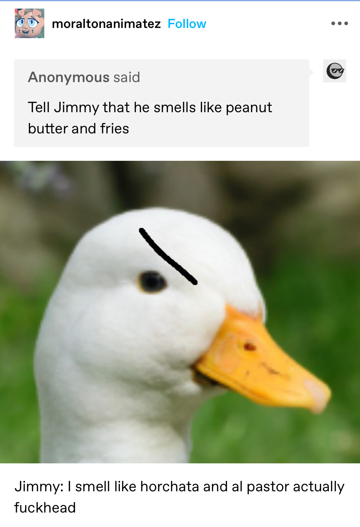 Sophia Harrington / Jack Harrington / Birdie / SpriteCranbirdie / Alias ...