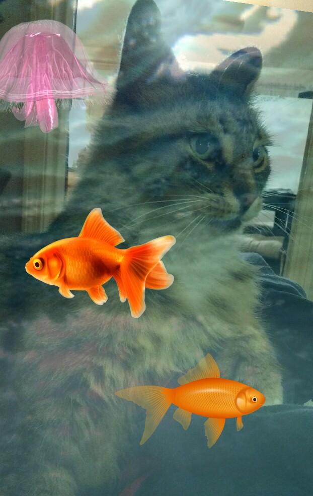 fish chat 100 | Kiwi Farms