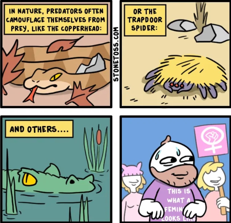 Vaush / @VaushV / VaushVidya / IrishLaddie / Ian Anthony Kochinski ...