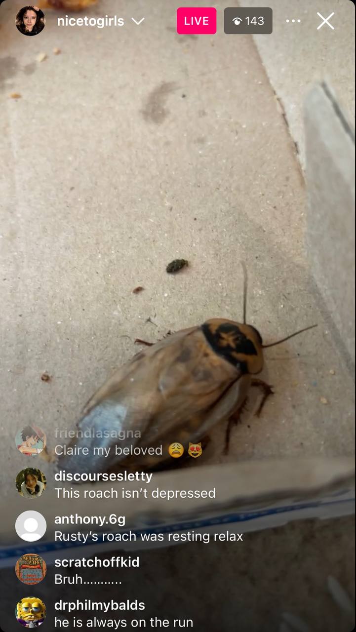 Sam Hyde's Fishtank.live General | Page 2306 | Kiwi Farms