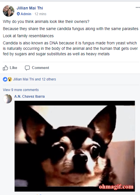 Jillian Burke-Epperly / Mai Burke / Mai Tai & Her Poop Cult | Page 4 ...