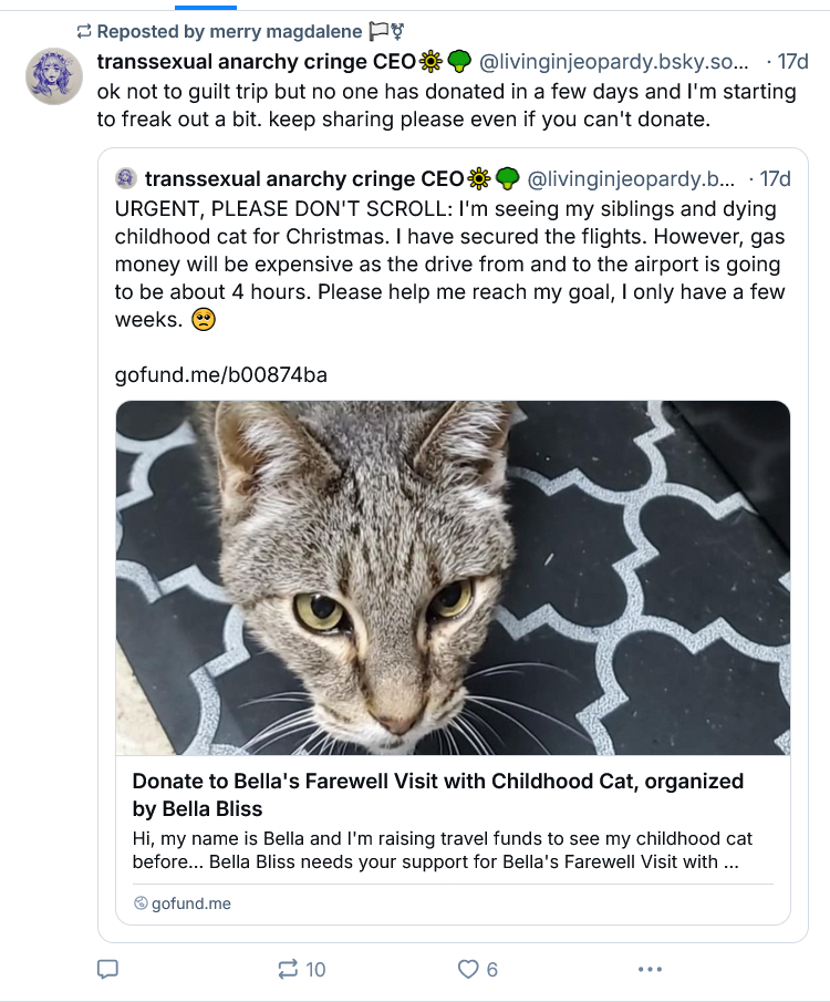 Brian M Visaggio / Magdalene Visaggio / MagsVisaggs / SeatBeltBlue ...