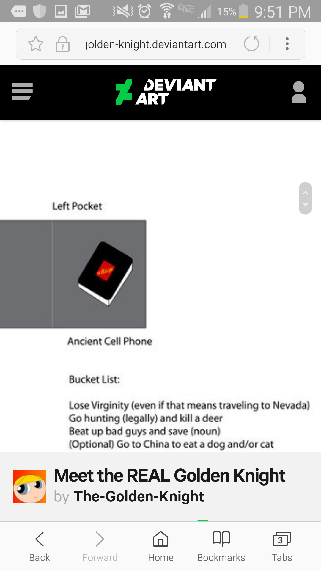 Jay Geis / The Golden Knight / The Platinum Paladin / Dick Pierce | Page 15 | Kiwi Farms