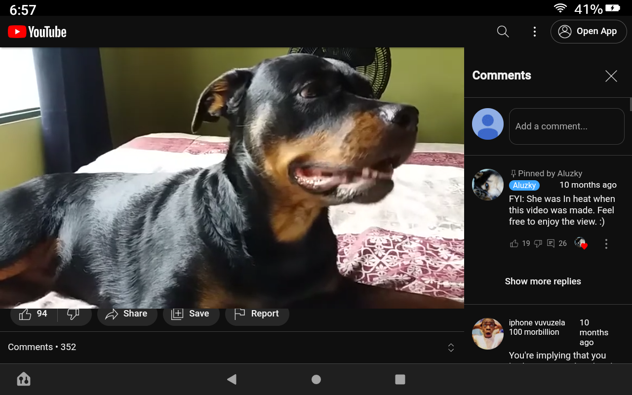 Aleks Salazar Abarca / Aluzky / alu_ky / Dog Lover / Yesilovedogs / DogsneedpIeasuretoo ...