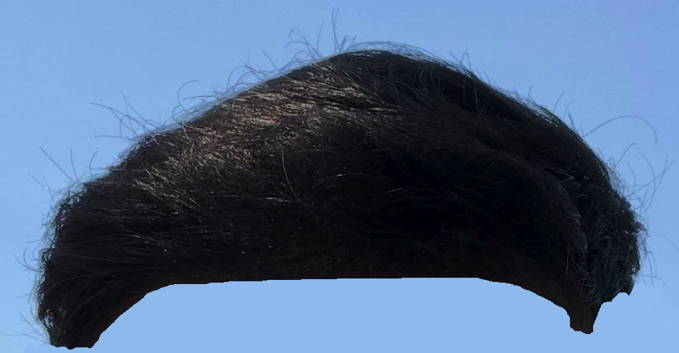 Ted Talks / @RPGonX / RedPillGangTV / RPGTV / Theodore "Teddy" Matthew ...