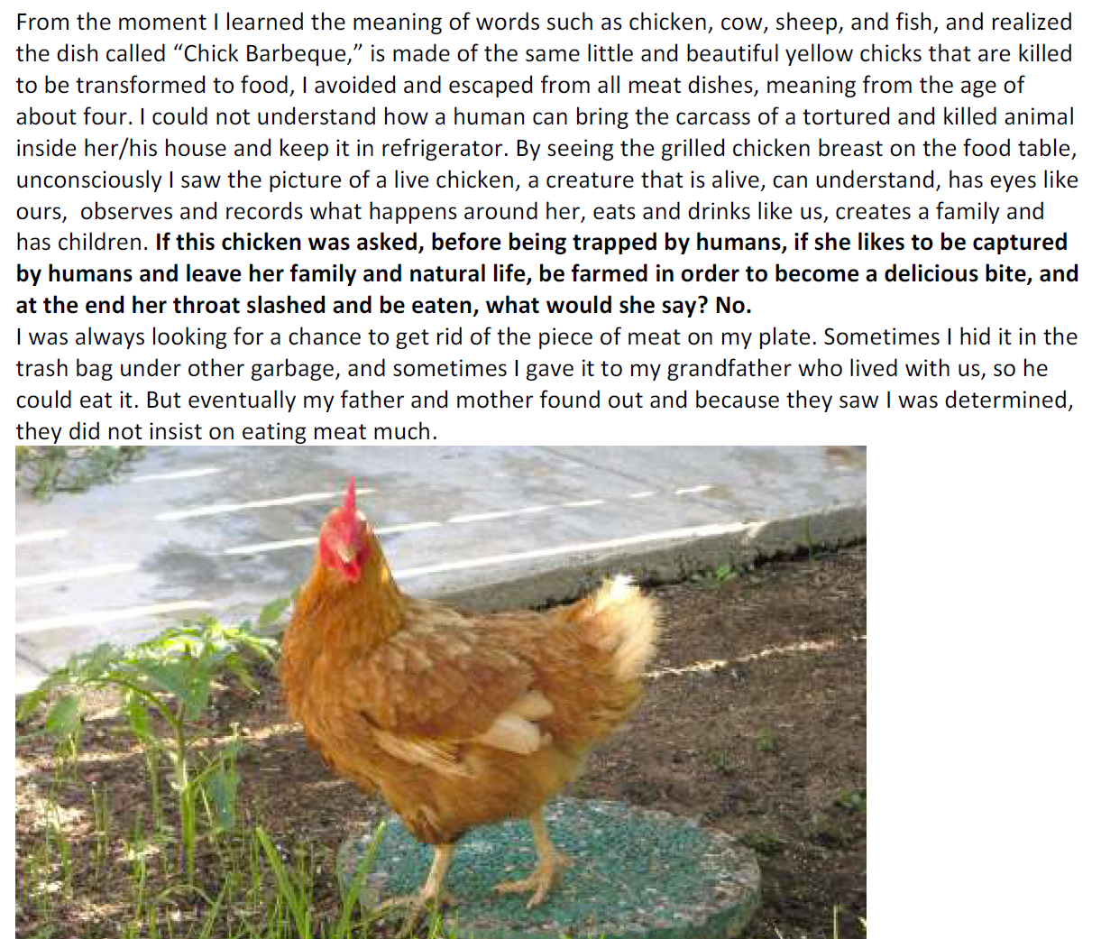 Nasim Najafi Aghdam / Nasim Wonder1 / Nasime Sabz / nasimesabz1 / Yesil ...