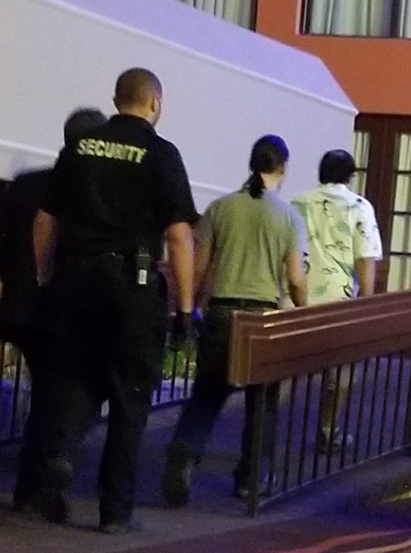 Foxler Nightfire / Foxler of Furry Fandom / starfoxacefox / Lee Allen ...